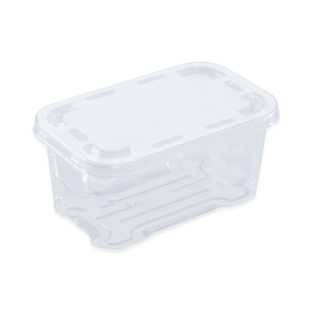 RPET Top Seal Padded Punnet (SPS/K37 Style) - Westpak