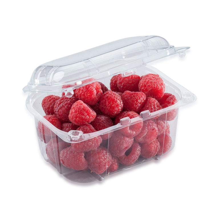 RPET Clamshell Punnet (F250 Style) 124x94x75mm - Westpak