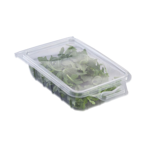 RPET Herb Clamshell Punnet 195x120x45mm - Westpak