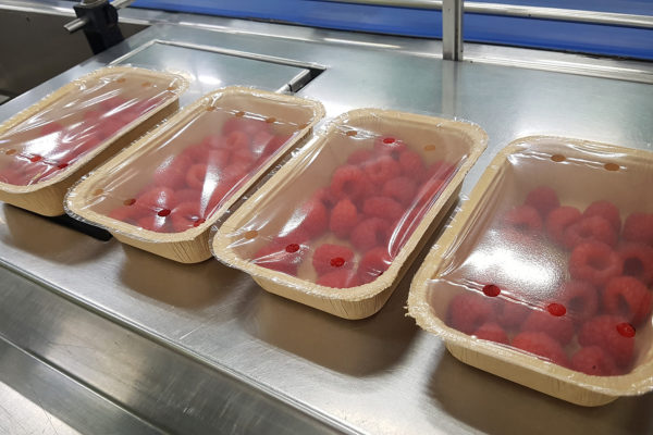 Heat Seal Card Punnets - a breakthrough in packaging sustainability ...