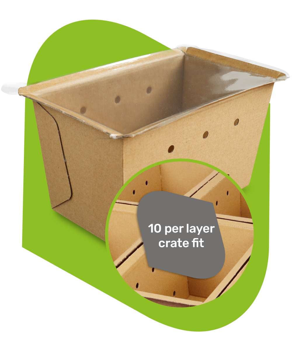 Heat Seal Card Punnets - Westpak