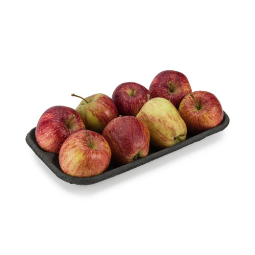 Moulded Fibre Apple Trays - Westpak
