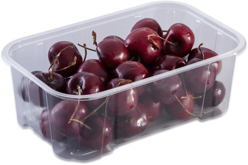 rPET Punnets - Westpak