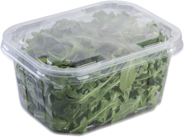 rPET Punnets - Westpak