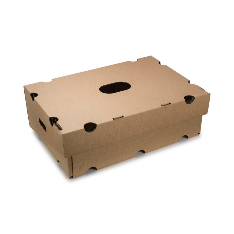 Corrugated Cardboard Green Banana Box (Wedge Display Lid) - Westpak