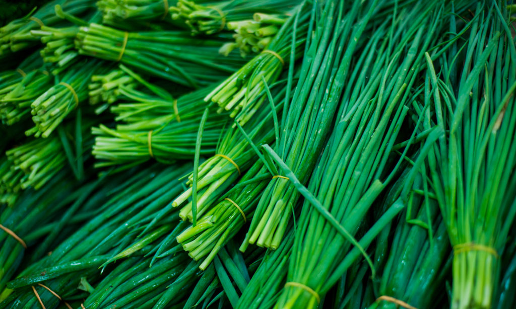 RPET Herb Clamshell Punnet 195x120x45mm - Westpak