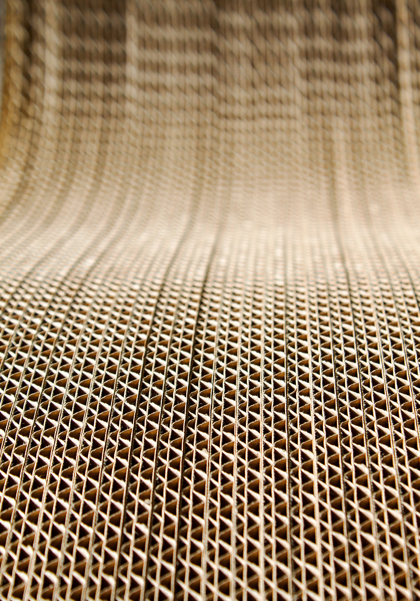 Card-based food packaging - everything you need to know. - Westpak