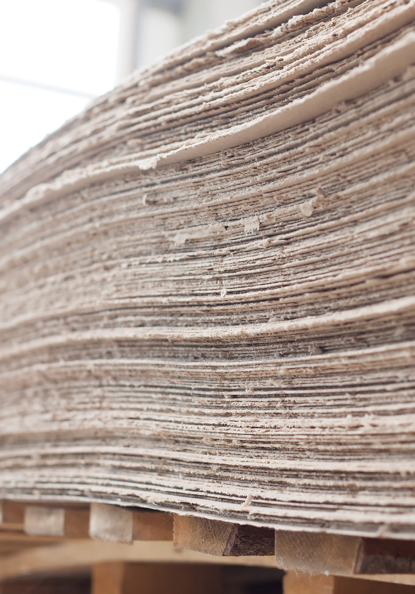 Card-based food packaging - everything you need to know. - Westpak